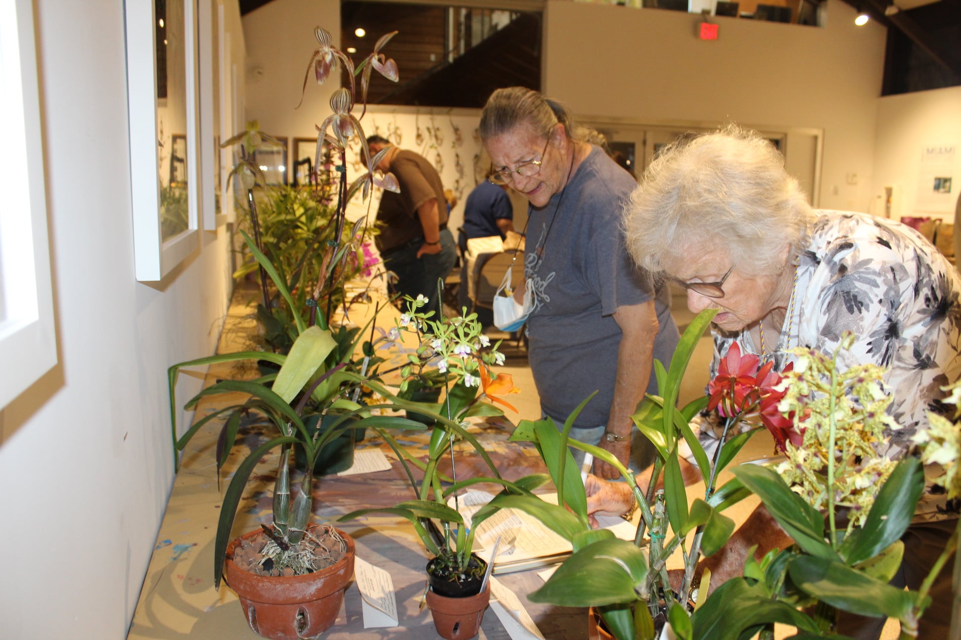 How to Enter – South Florida Orchid Society